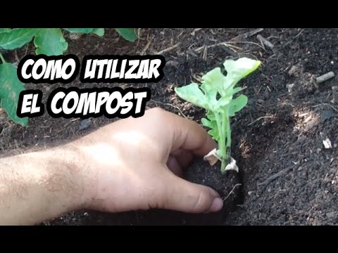 Mezclar compost con tierra | Actualizado noviembre 2022