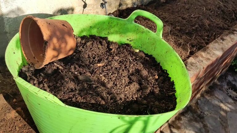 Mezcla de Compost y Tierra: La Fórmula Ideal para un Jardín Abundante ...